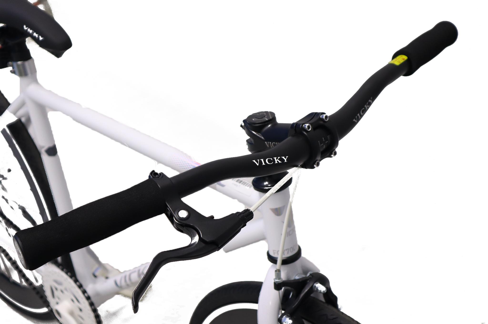 Xe Đạp Fixed Gear Vicky Crazy