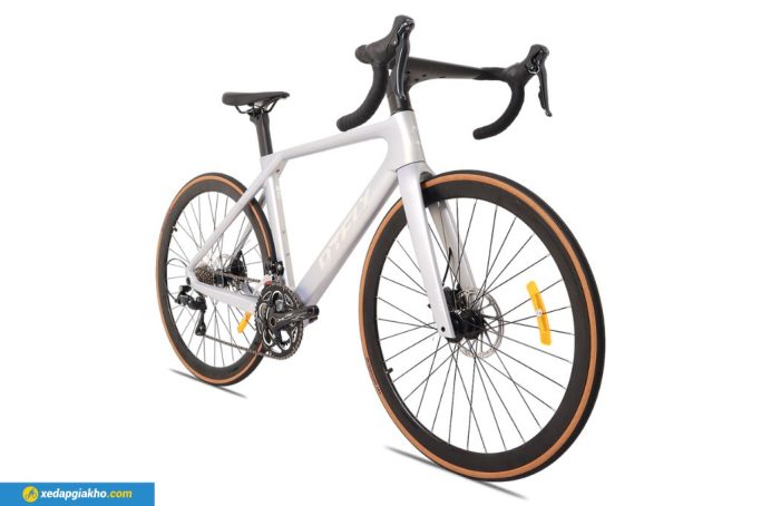 Xe Đạp Đua DTFLY R3000 - Khung Carbon