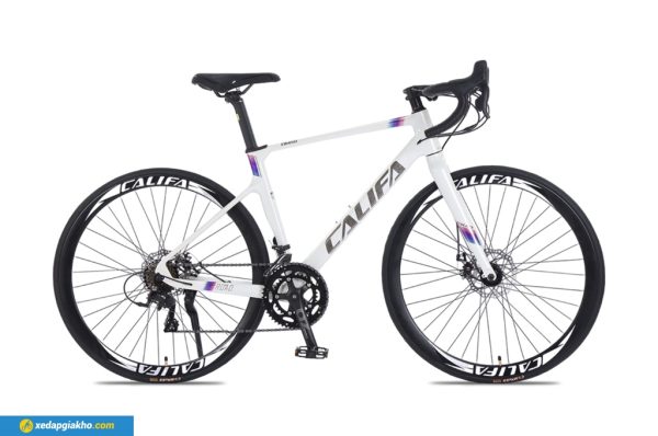 Road Bike là gì? Top 5 Xe Đạp Đua Hot Nhất Hiện Nay